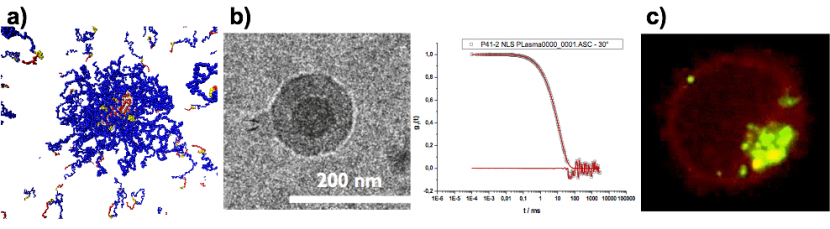 polyplexes | Barz Lab